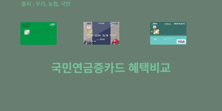 국민연금증카드 발급 방법 및 혜택비교 이베이스매뉴얼