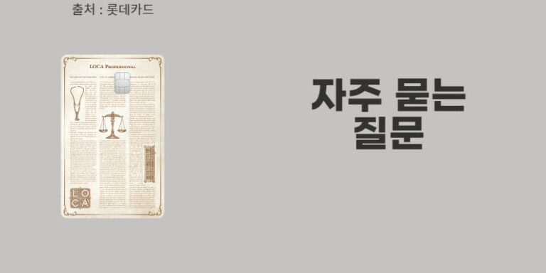 롯데 로카 프로페셔널 카드 혜택 장단점 연회비 정리 이베이스매뉴얼